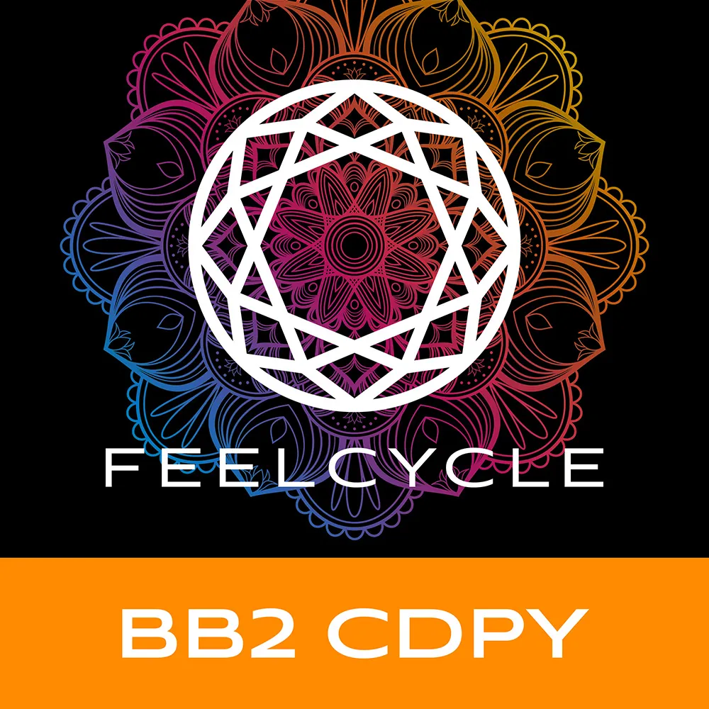 ミュージック | FEELCYCLE（フィールサイクル）